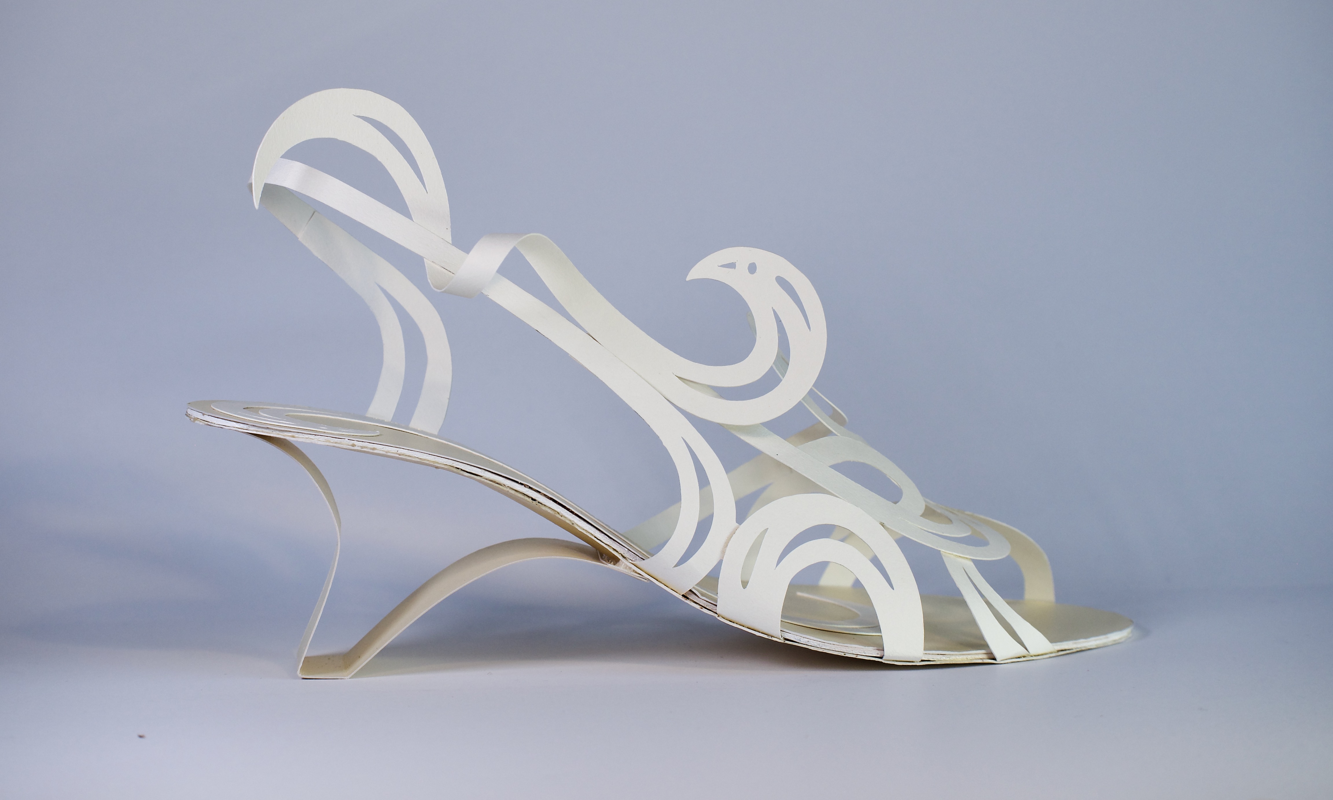 Judi Cook – Paper art, shoes, pictures, insects.